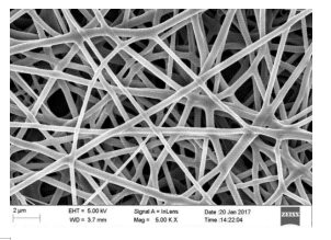 荧光标记聚4-乙烯基吡啶 P4VP
