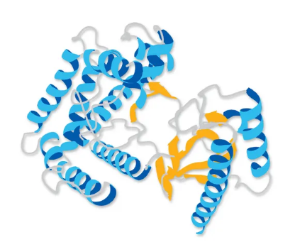 FITC-DEAE-BSA 荧光标记牛血清白蛋白